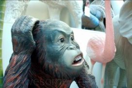 Sightseeing: Stepney Salvage – Awesome Adelaide