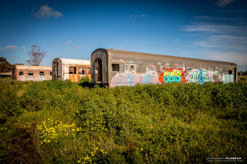 Urban Exploring: The Port Pirie Train Graveyard – Awesome Adelaide