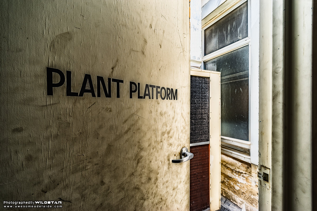 Urban Exploring: Hidden Chocolate – Awesome Adelaide